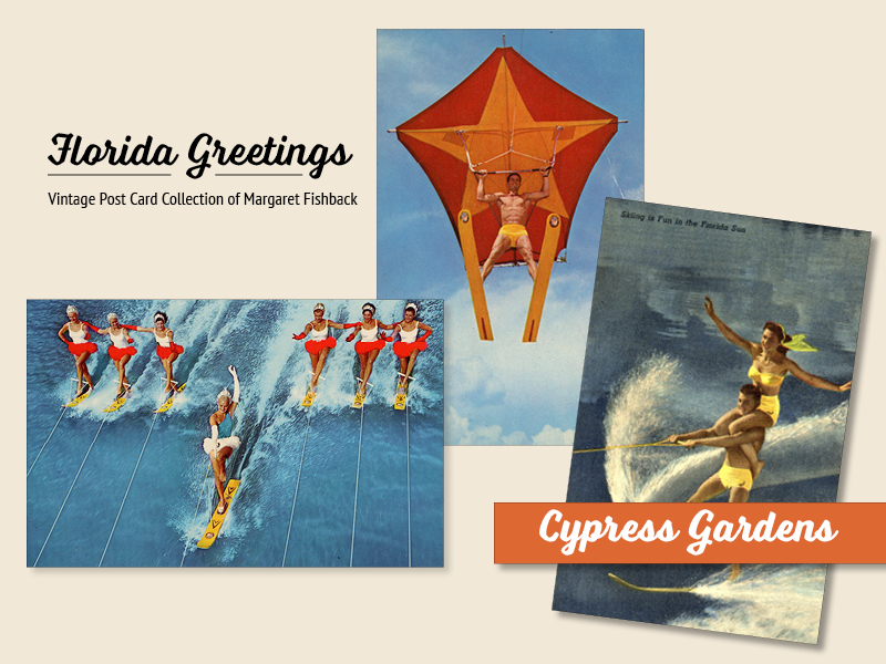 Post Card Collection – margaret fishback