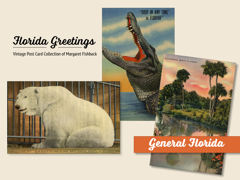Post Card Collection – margaret fishback